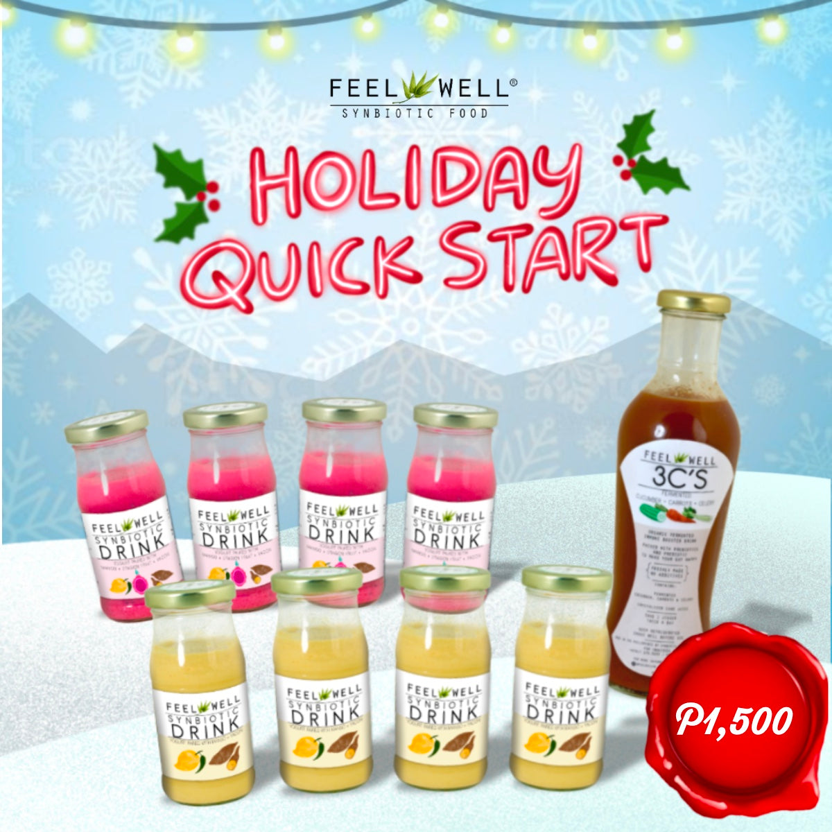 HOLIDAY QUICK START - Feel Well