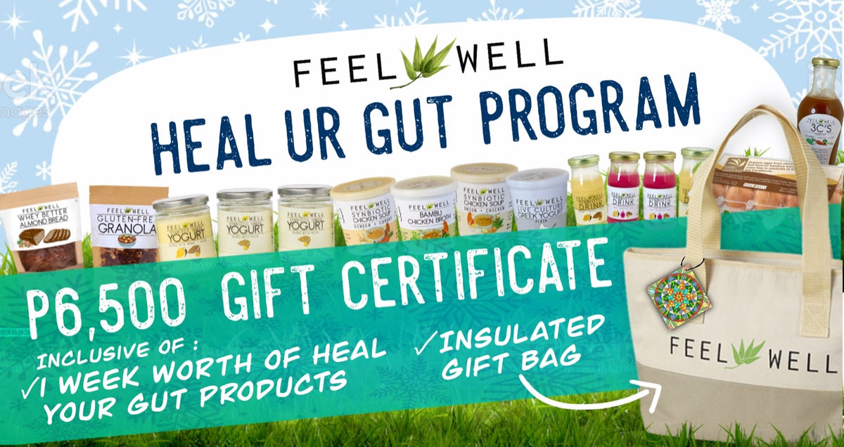 GC: Heal Ur Gut Program + Insulated Bag - Feel Well