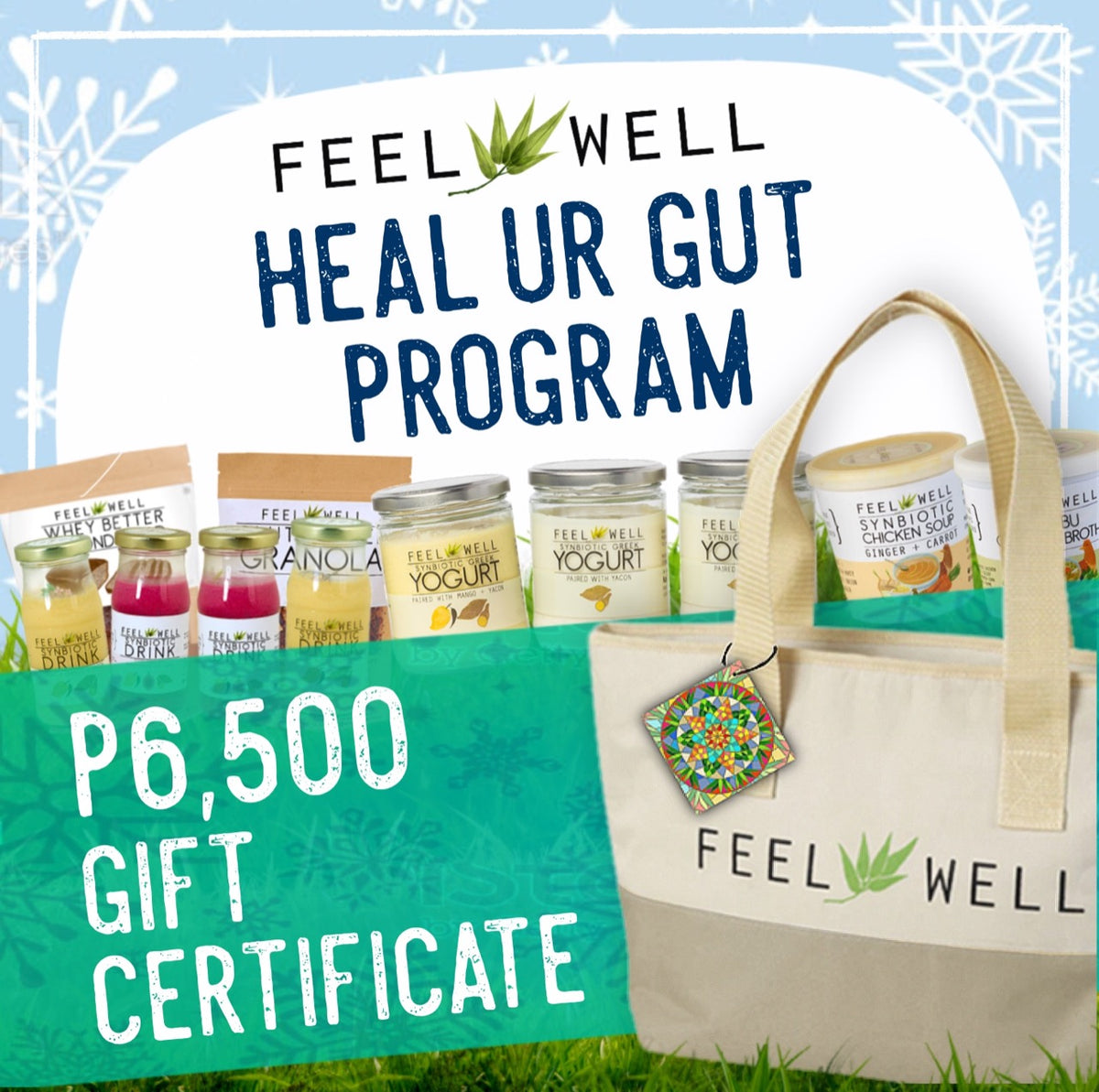 REDEEM: Heal Ur Gut Program + Insulated Bag - Feel Well